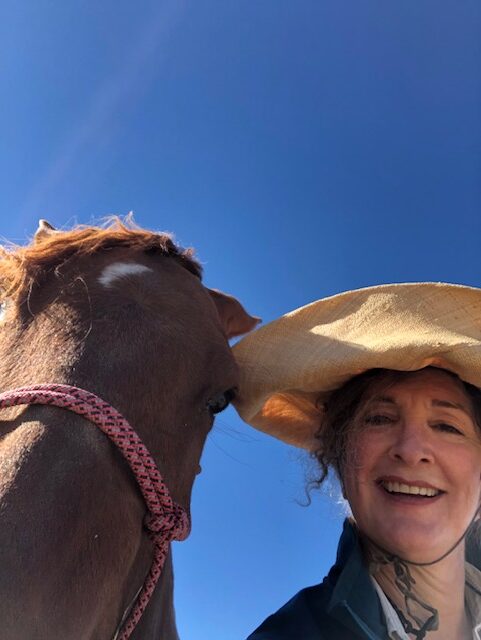 Equine Body Balance Practitioners - Ortho-Bionomy® and Equine ...