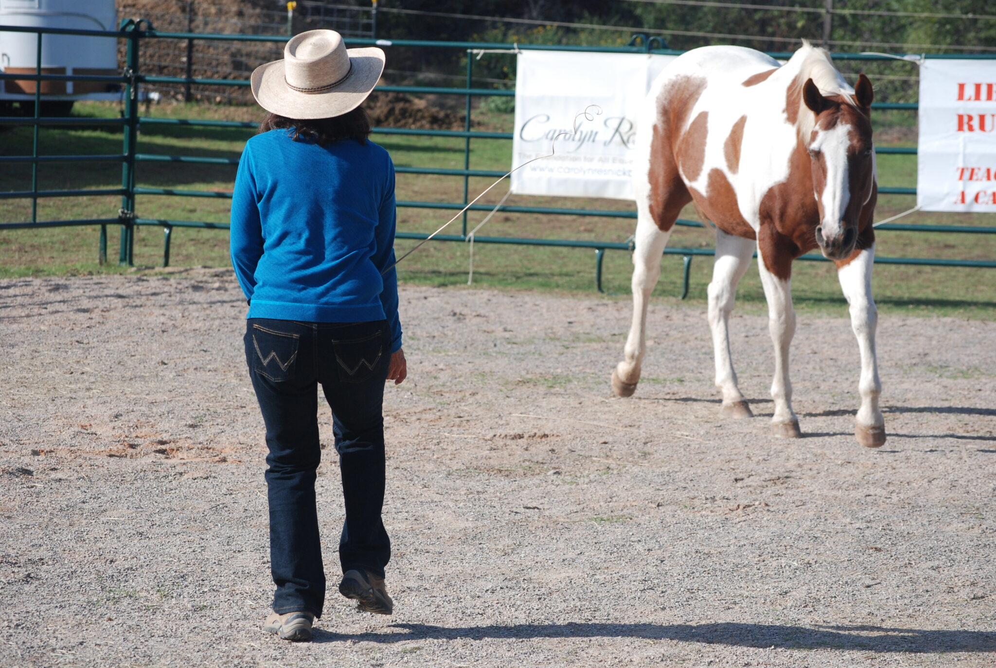 Fear and the Trigger Stacking Unwind - Ortho-Bionomy® and Equine ...